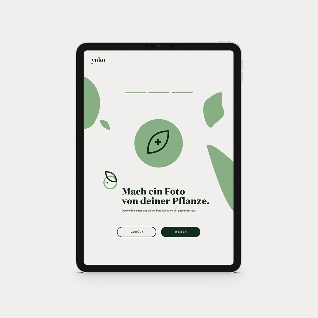 Prof. Rasmus Giesel — Yoko