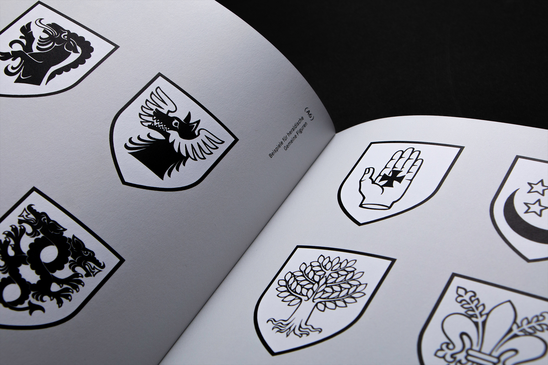 Prof. Rasmus Giesel — Stadt + Wappen: Zwischen Tradition und Moderne